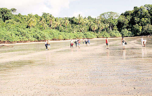 La Isla Morada, una nave con 100 años de historia | Día a Día