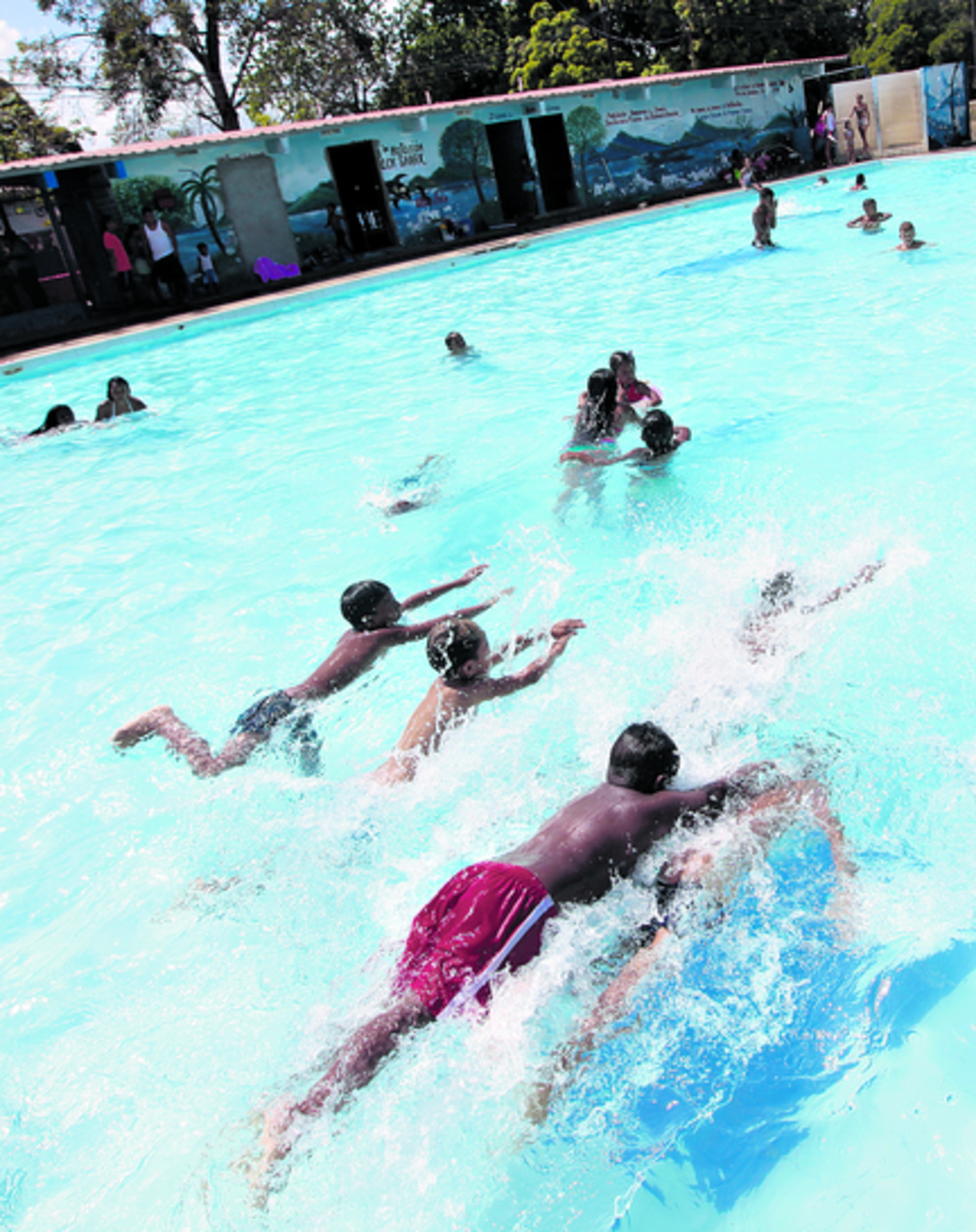 Disfrutan de un chapuzón a diario | Día a Día