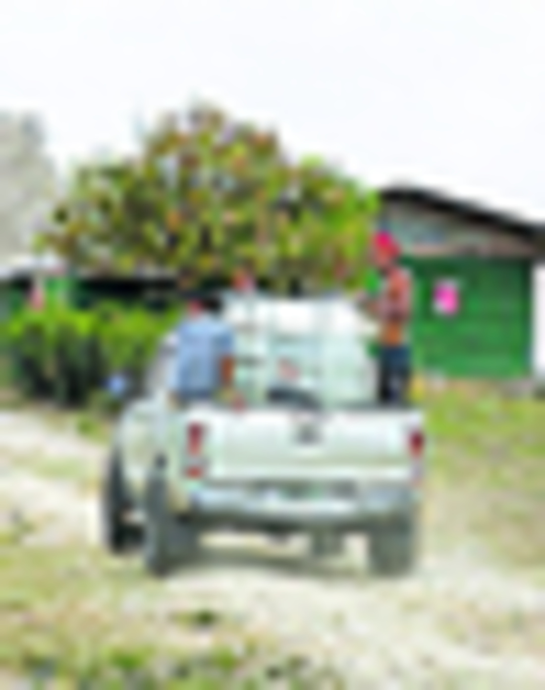 Belleza natural En Madugandí Ríos, lagos y quebradas son la atracción ...