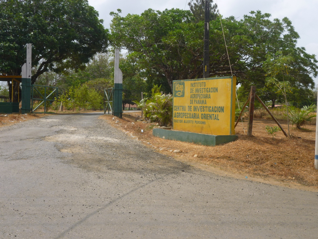 Tanara, una comunidad DE ANTAÑO | Día a Día