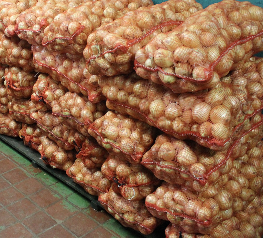 Cebolla no subirá | Día a Día