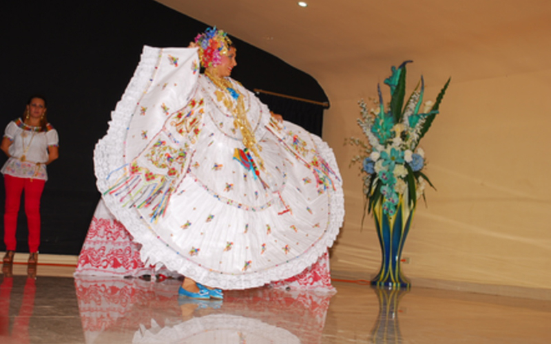 pollera | Día a Día