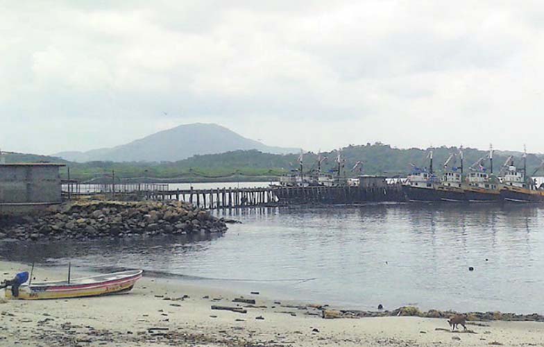 Proyectan muelle en Puerto Caimito | Día a Día