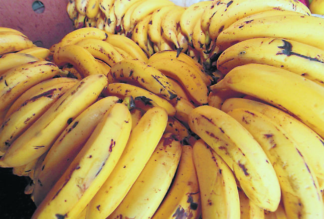 Guineo tiene precios de lujo | Día a Día