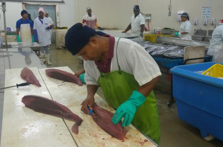 Fileteador, un oficio con poca mano de obra | Día a Día