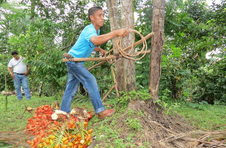 El pixbae más rico | Día a Día