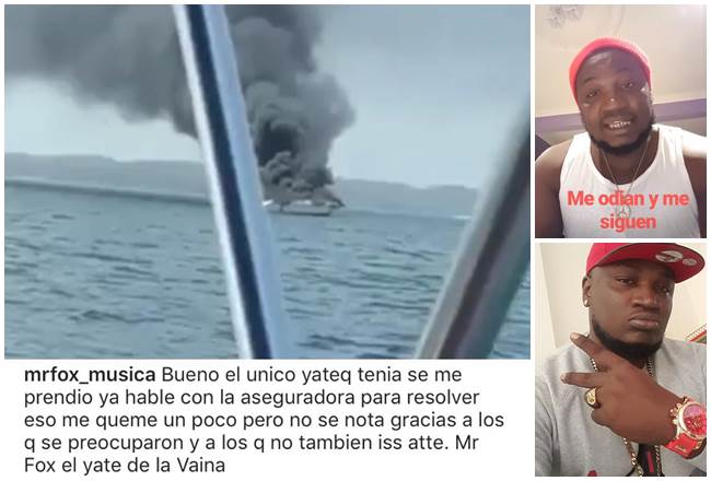 Declaran inocente a Mr. Fox | Día a Día