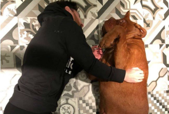 Lionel Messi y su enorme perro conquistaron corazones | Día a Día